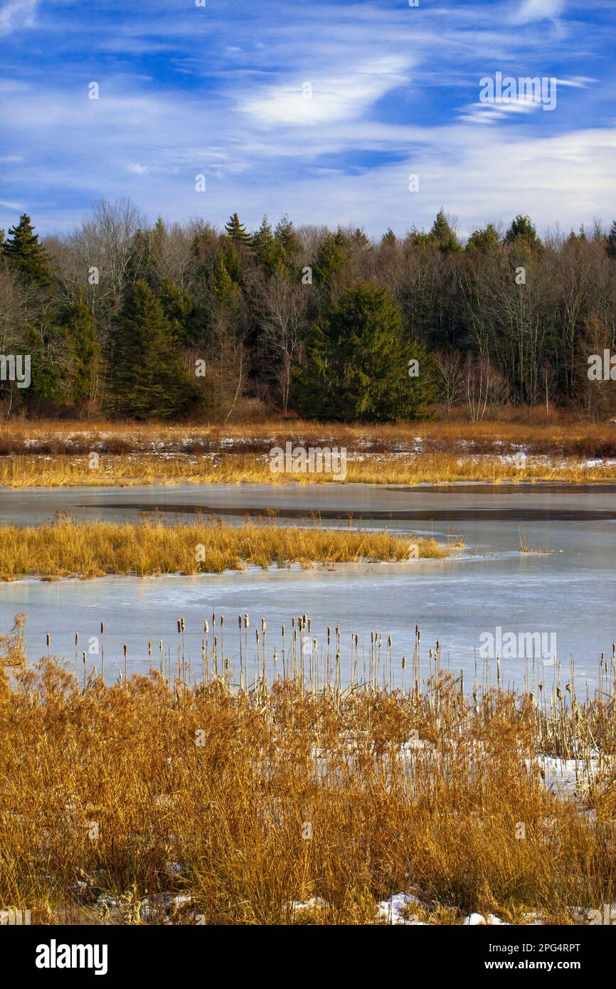 Upper Klondike Pond in Pennsylvania's Pocono Mountains was a former ...