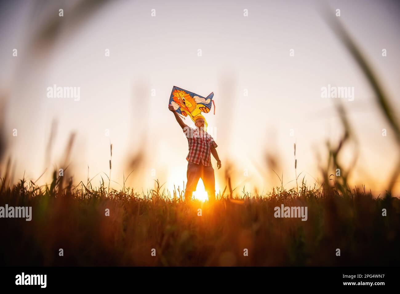 In the rays of the sunset sun, bald man with glasses with kite in the ...