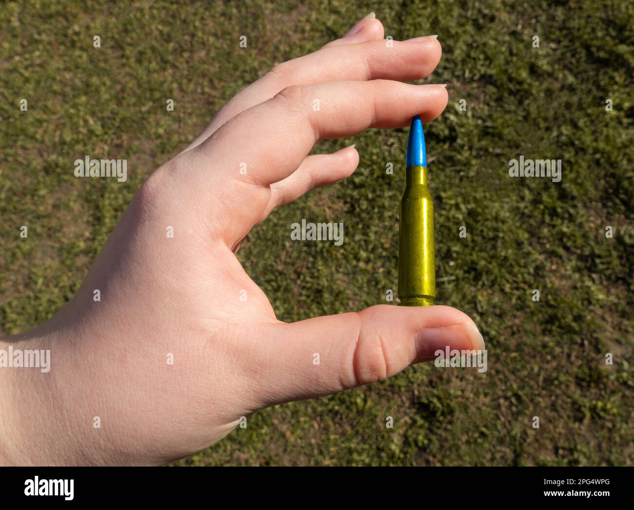 Yellow-blue rifle cartridge in hand against the background of green ...
