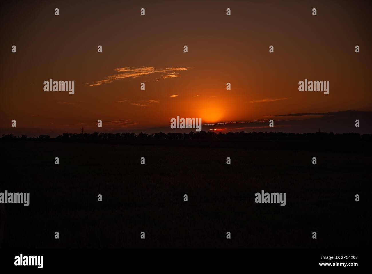 Orange sunset, field skyline silhouette. The last ray of the sun ...