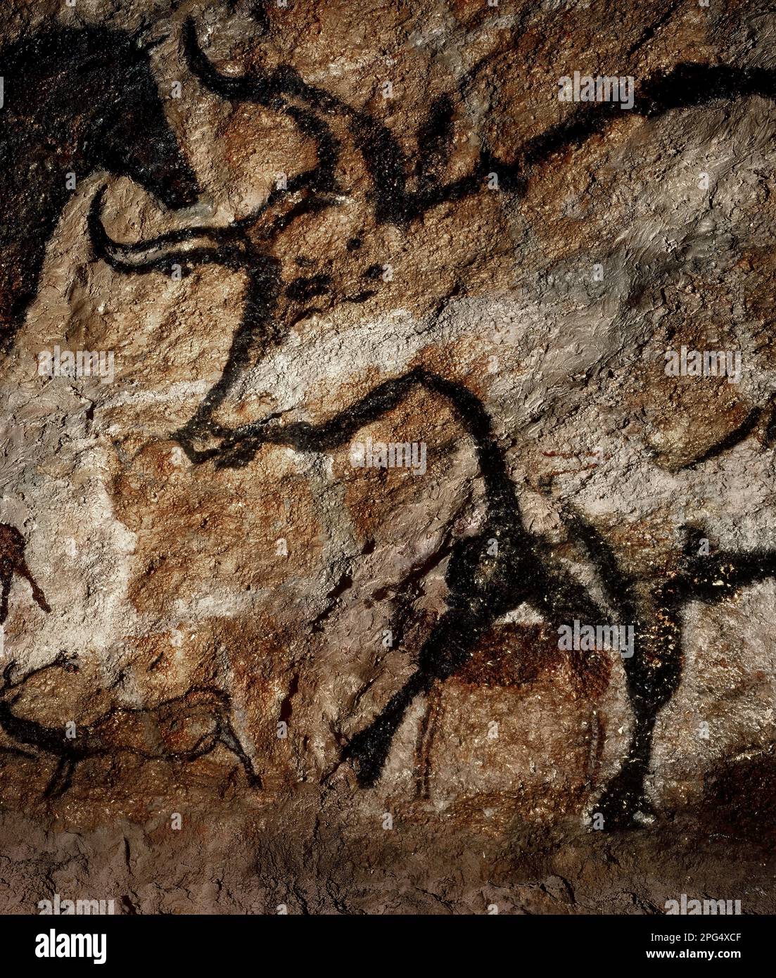 The caves of Lascaux are caves decorated with Paleolithic paintings ...
