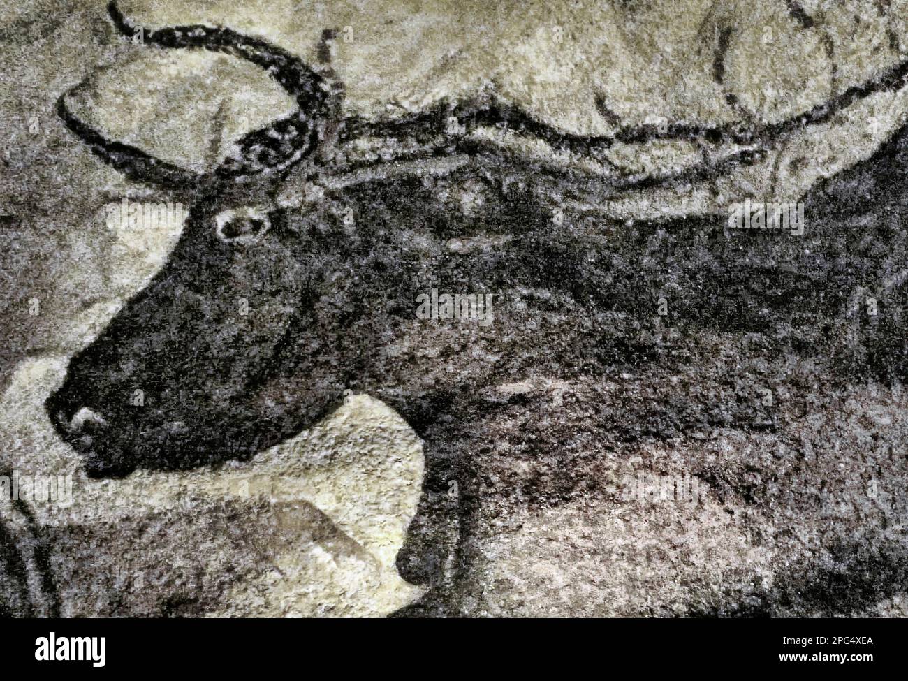 The caves of Lascaux are caves decorated with Paleolithic paintings ...