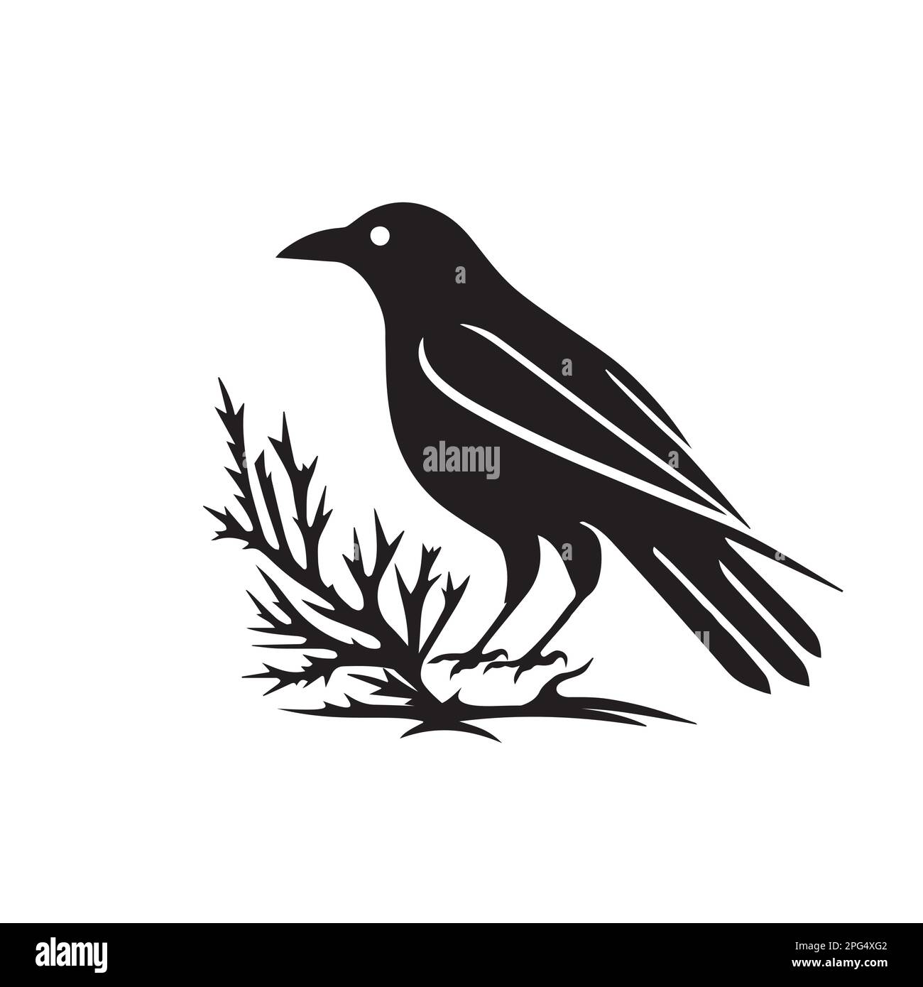Bird logo vector design template in isolated white background EPS 10 ...