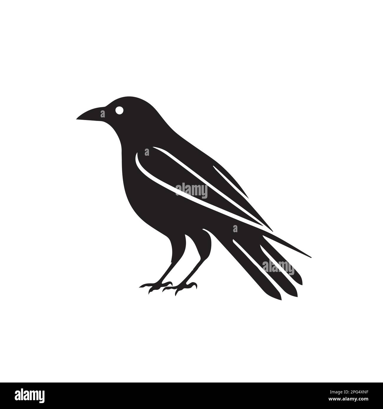 Bird logo vector design template in isolated white background EPS 10 ...