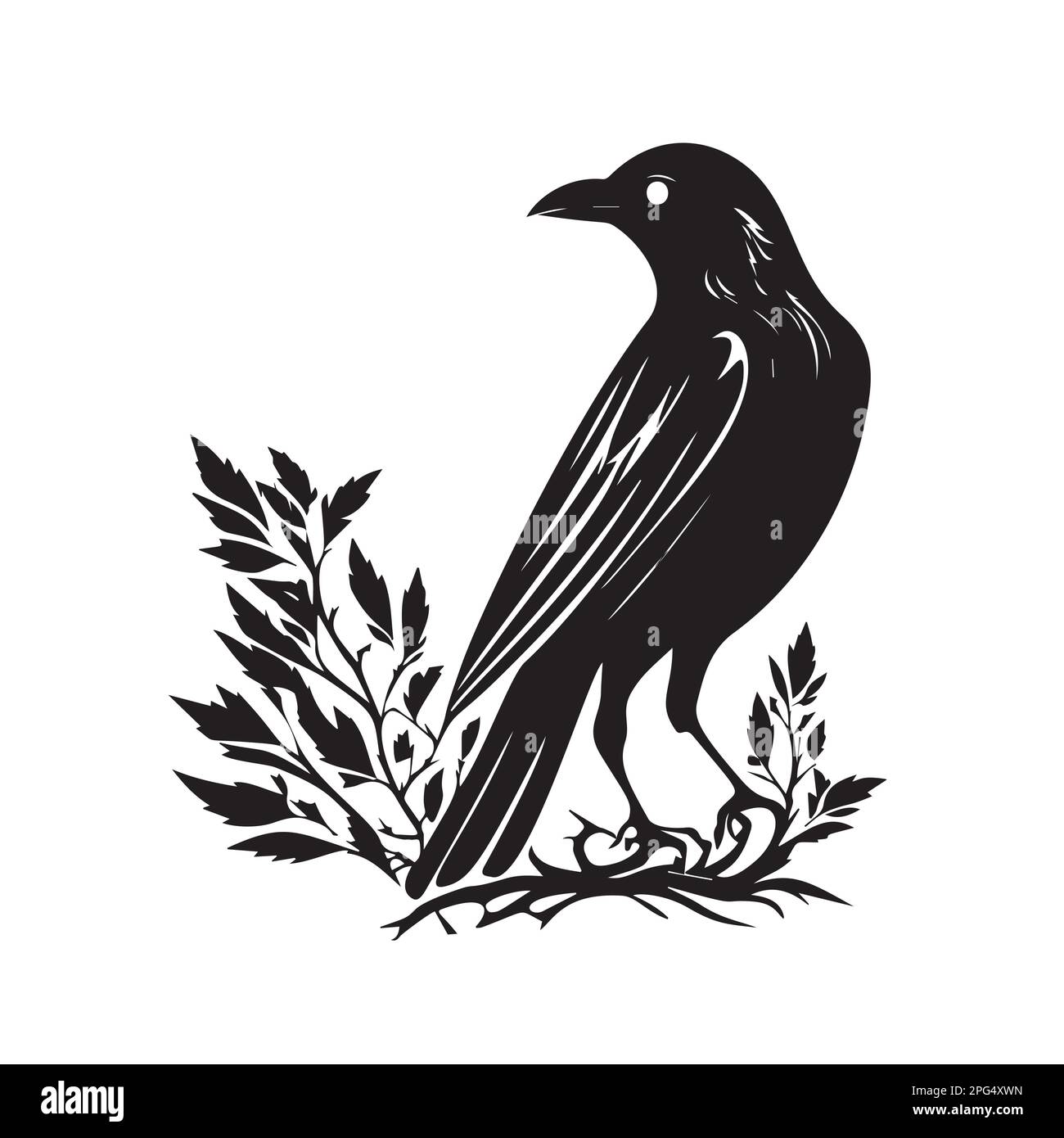 Bird logo vector design template in isolated white background EPS 10 ...