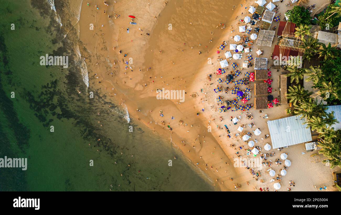 Tropical Paradise Beach Marau Barra Grande Village Mutá Bahia Nature ...