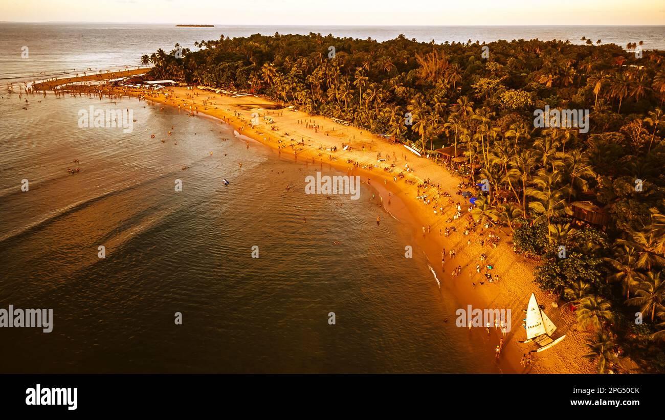 Tropical Paradise Beach Marau Barra Grande Village Mutá Bahia Nature ...