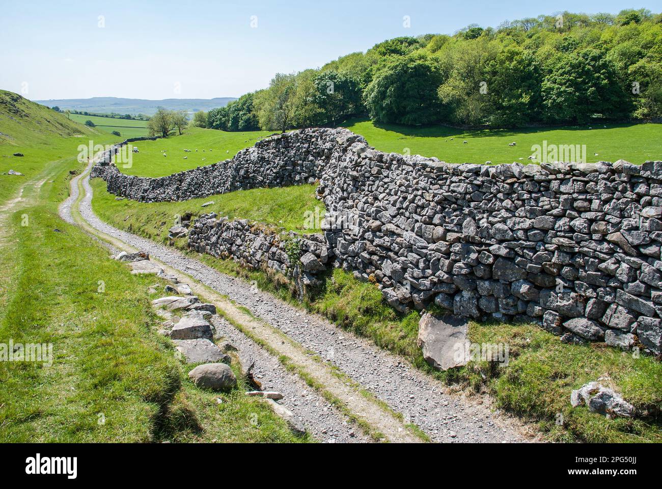 Drystone walling above Feizor in North Yorkshire, Yorkshire dales Stock ...