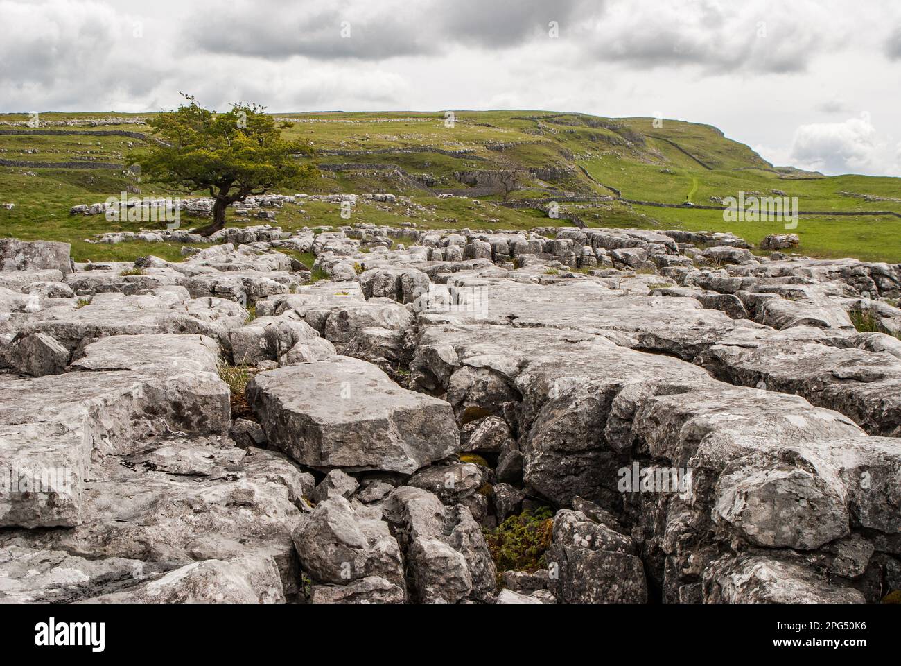 Limestone pavement at Winskill Stones in North Yorkshire Stock Photo ...