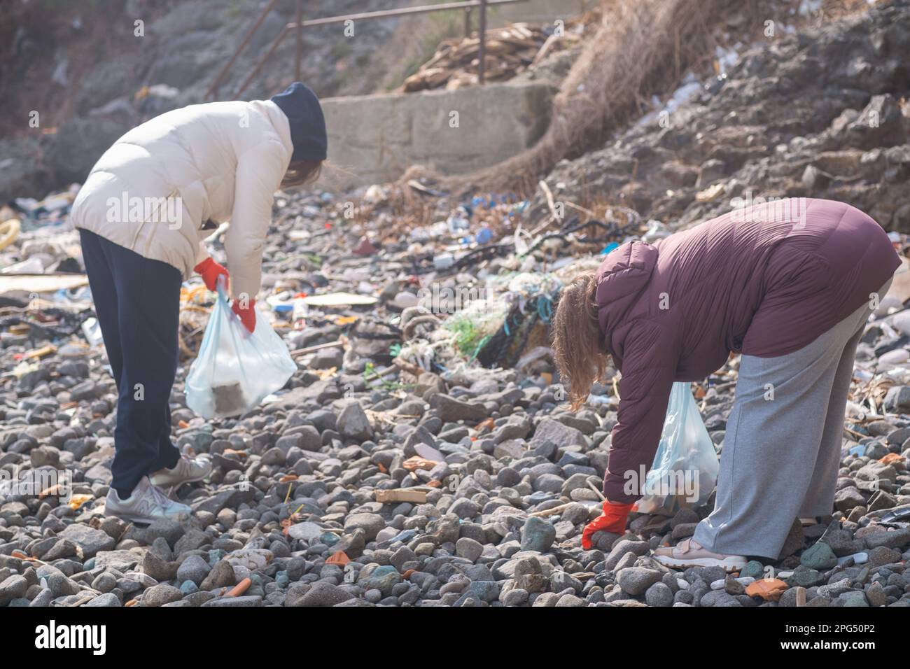 volunteers is cleaning up a polluted beach by collecting plastic ...