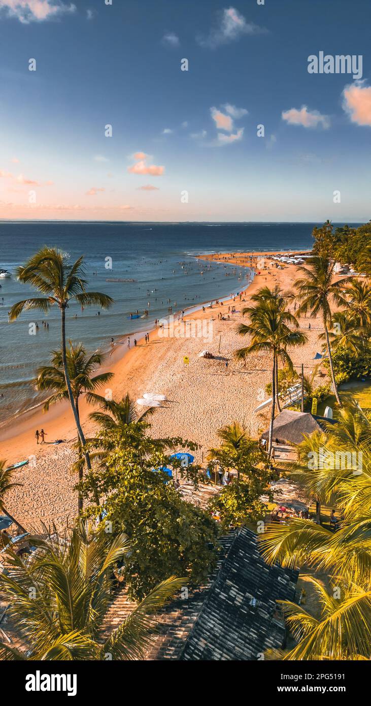 Tropical Paradise Beach Marau Barra Grande Village Mutá Bahia Nature ...