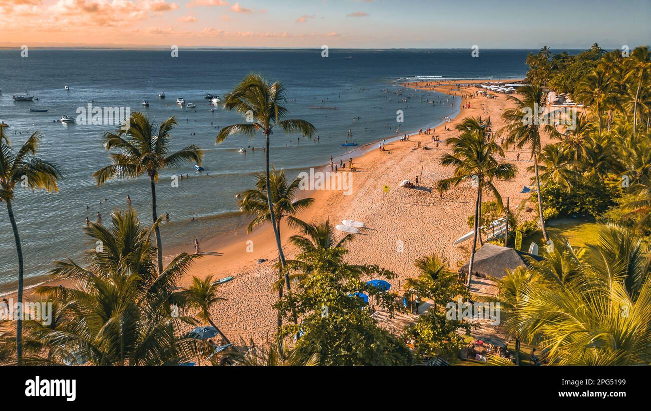 Tropical Paradise Beach Marau Barra Grande Village Mutá Bahia Nature ...
