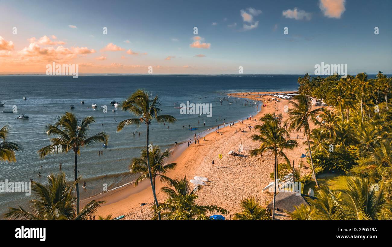 Tropical Paradise Beach Marau Barra Grande Village Mutá Bahia Nature ...