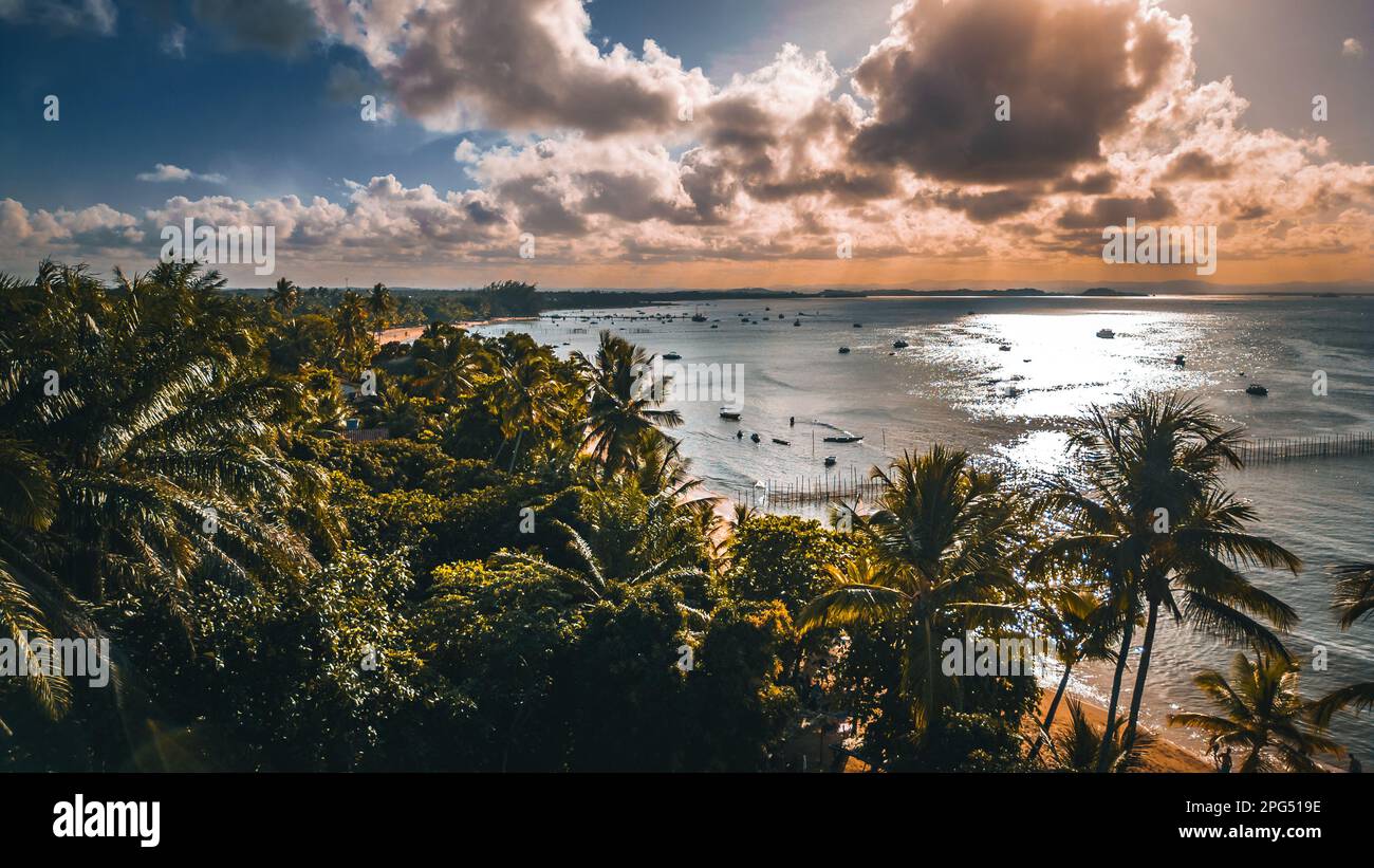 Tropical Paradise Beach Marau Barra Grande Village Mutá Bahia Nature ...