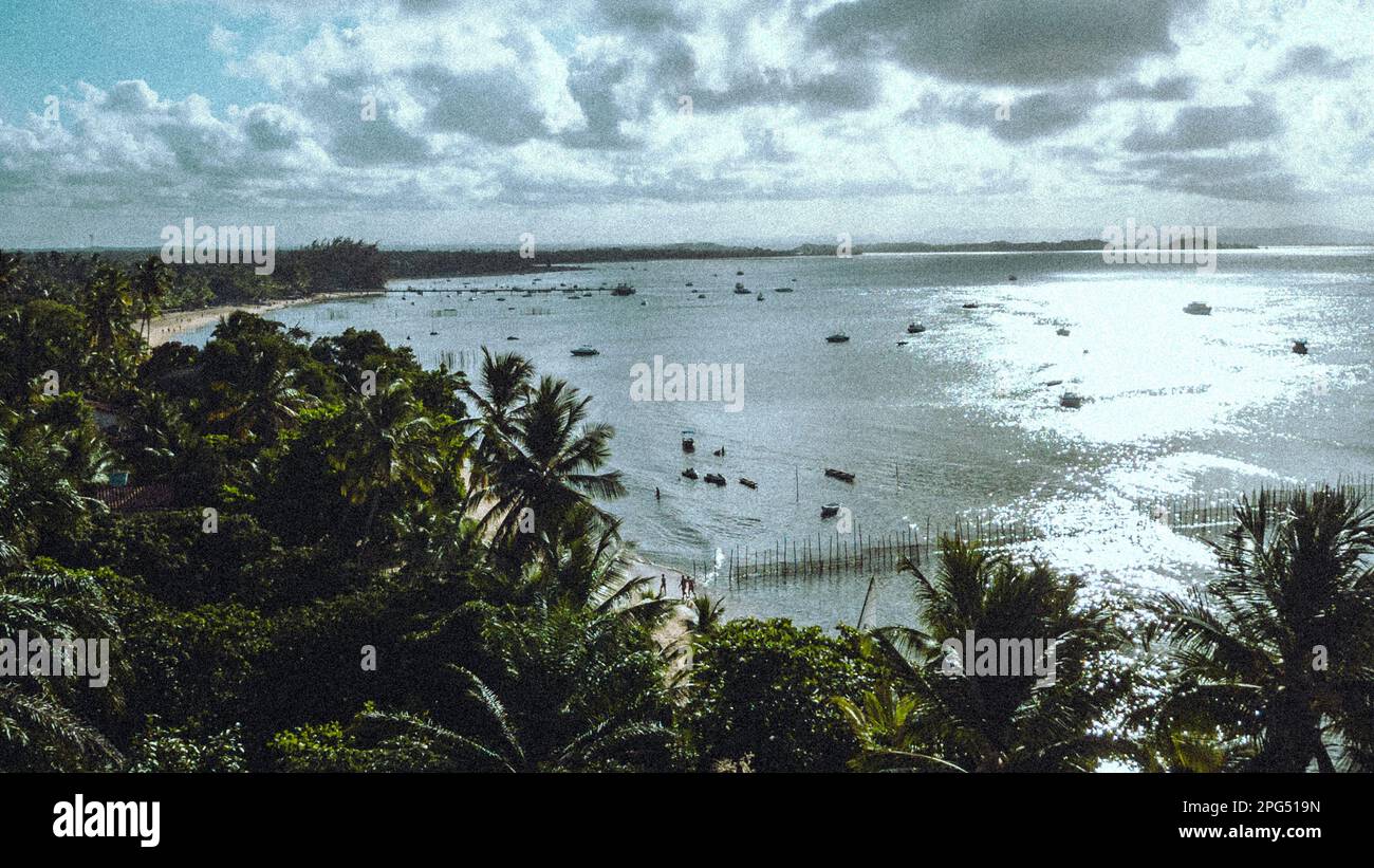 Tropical Paradise Beach Marau Barra Grande Village Mutá Bahia Nature ...