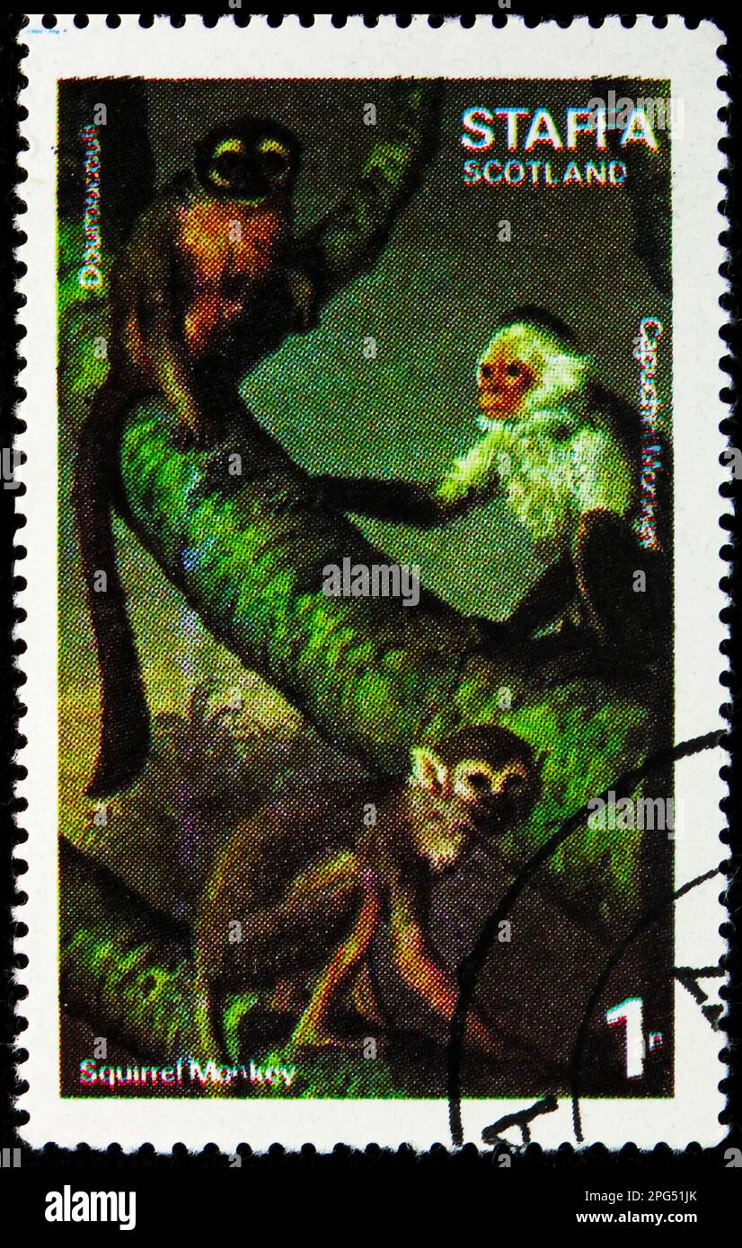 1977 2023 hi-res stock photography and images - Alamy