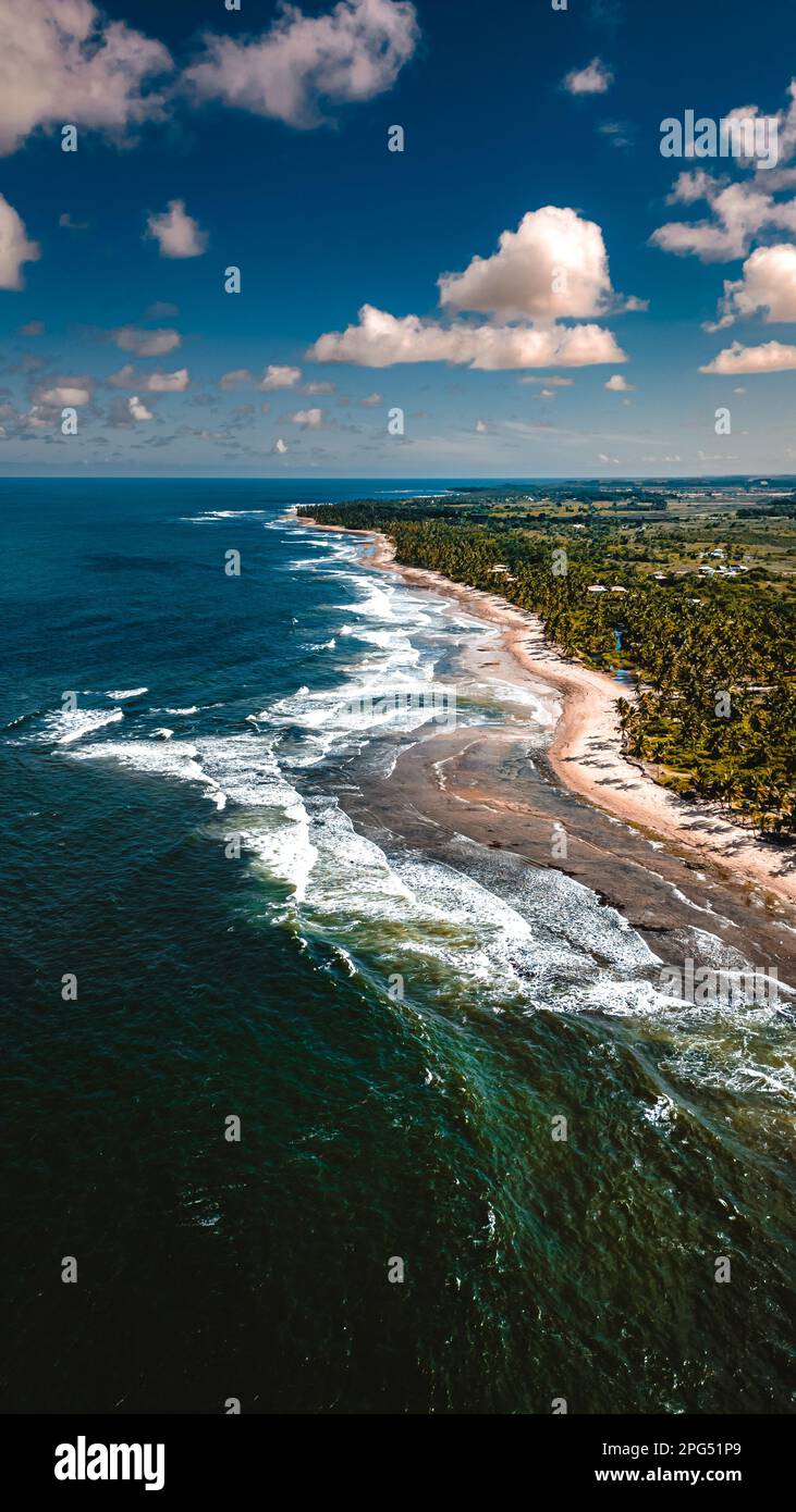 Tropical Paradise Beach Marau Barra Grande Village Mutá Bahia Nature ...