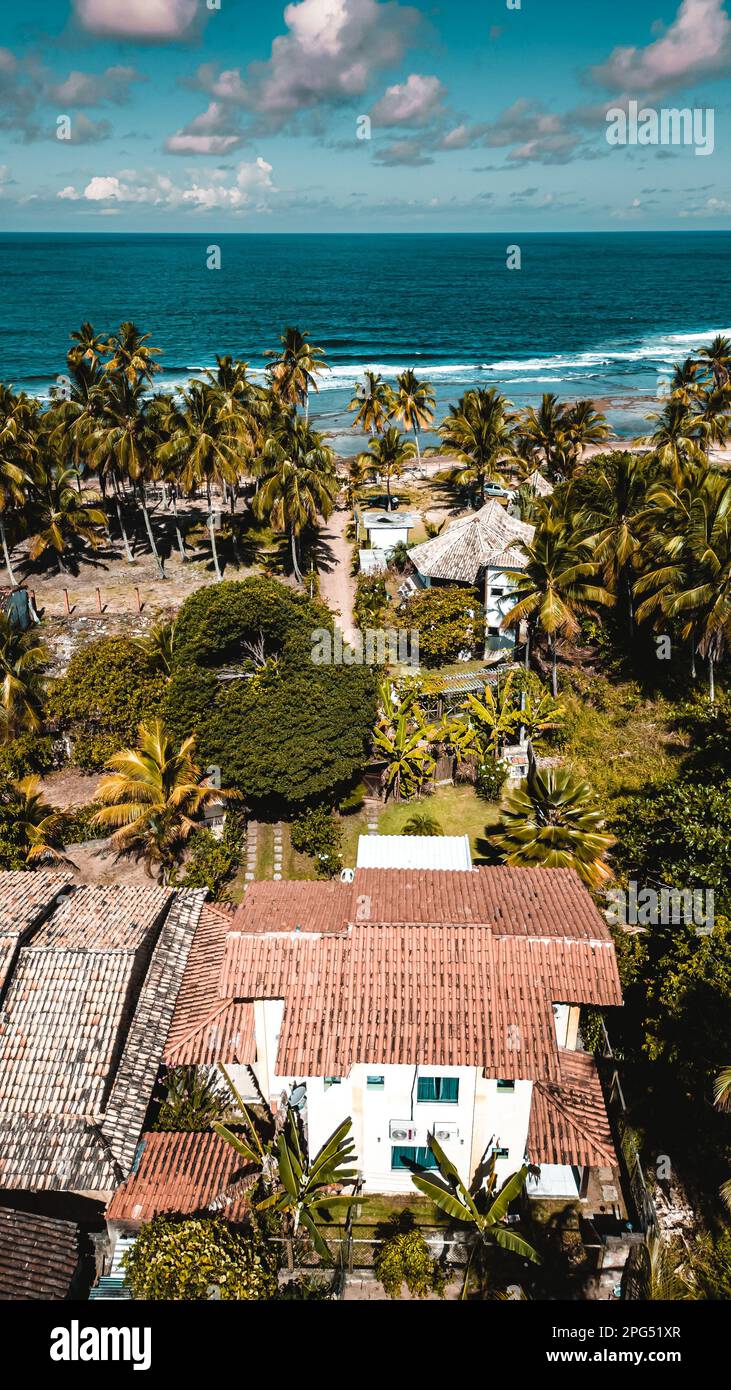 Tropical Paradise Beach Marau Barra Grande Village Mutá Bahia Nature ...