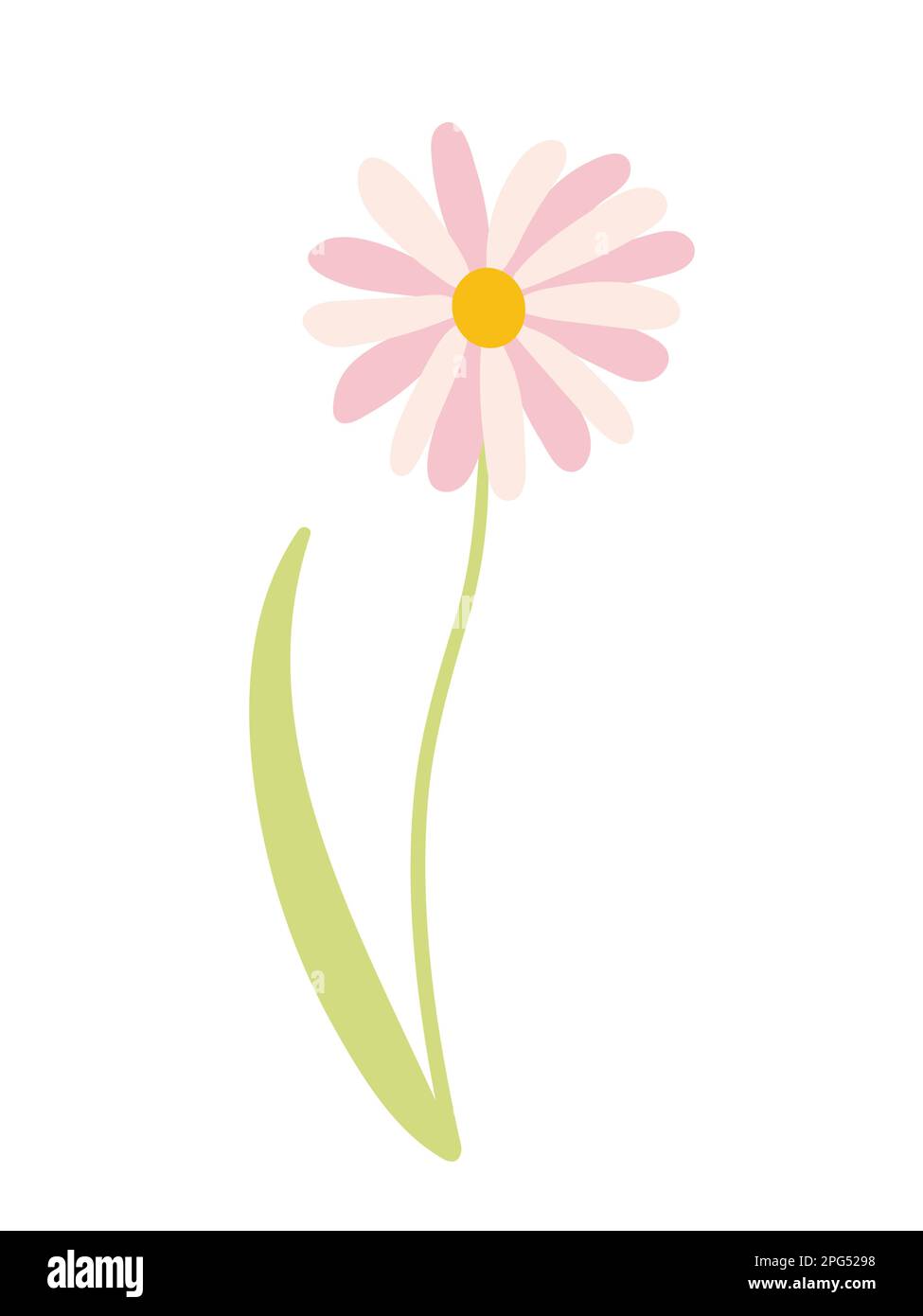 Vector daisy flower sketch Stock Vector Image & Art - Alamy
