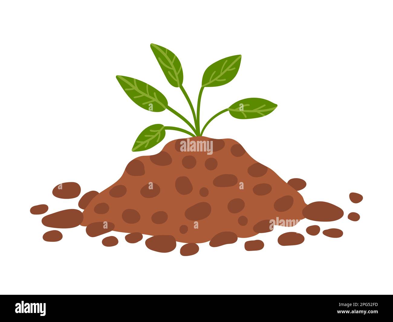 Plant in black ground Stock Vector Image & Art - Alamy