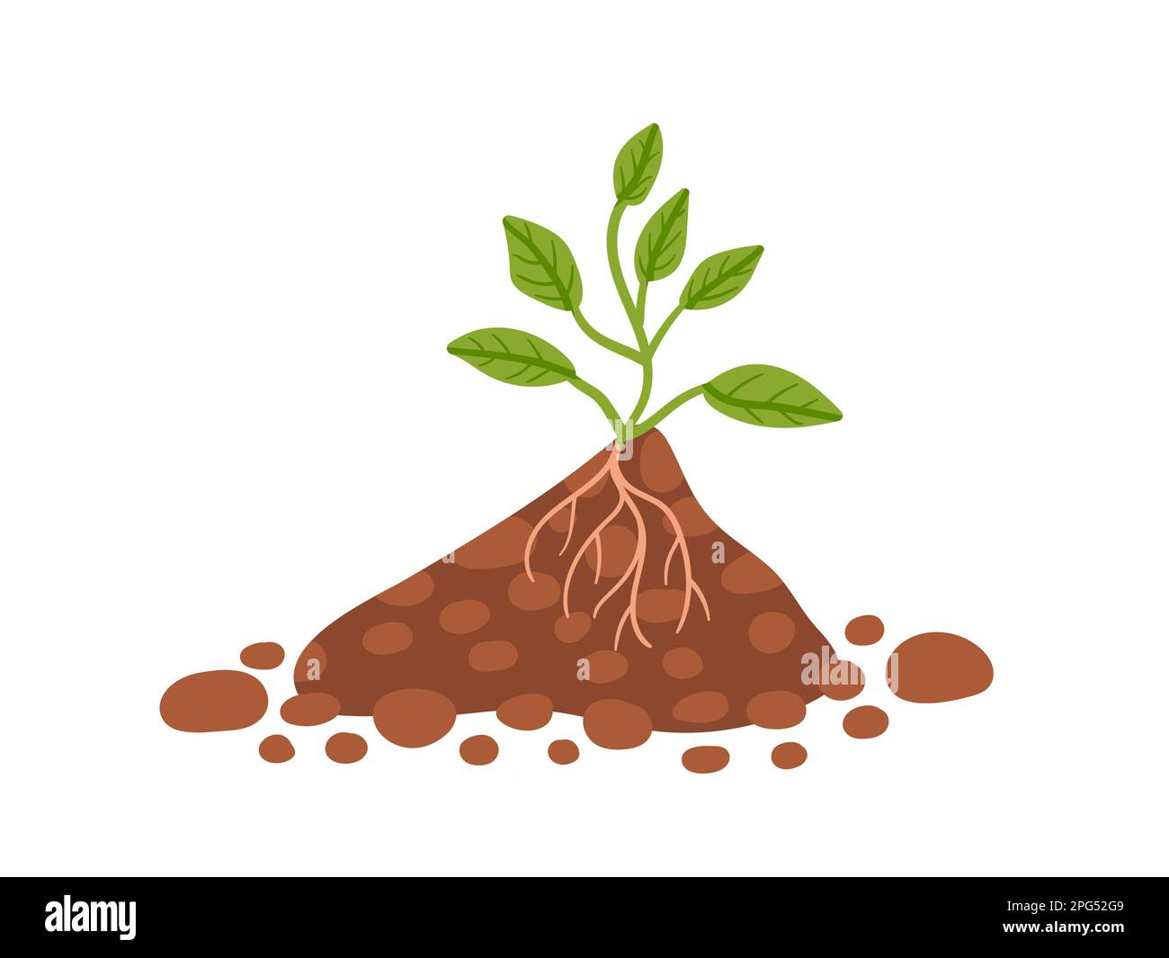 Leafy brown ground Stock Vector Images - Alamy