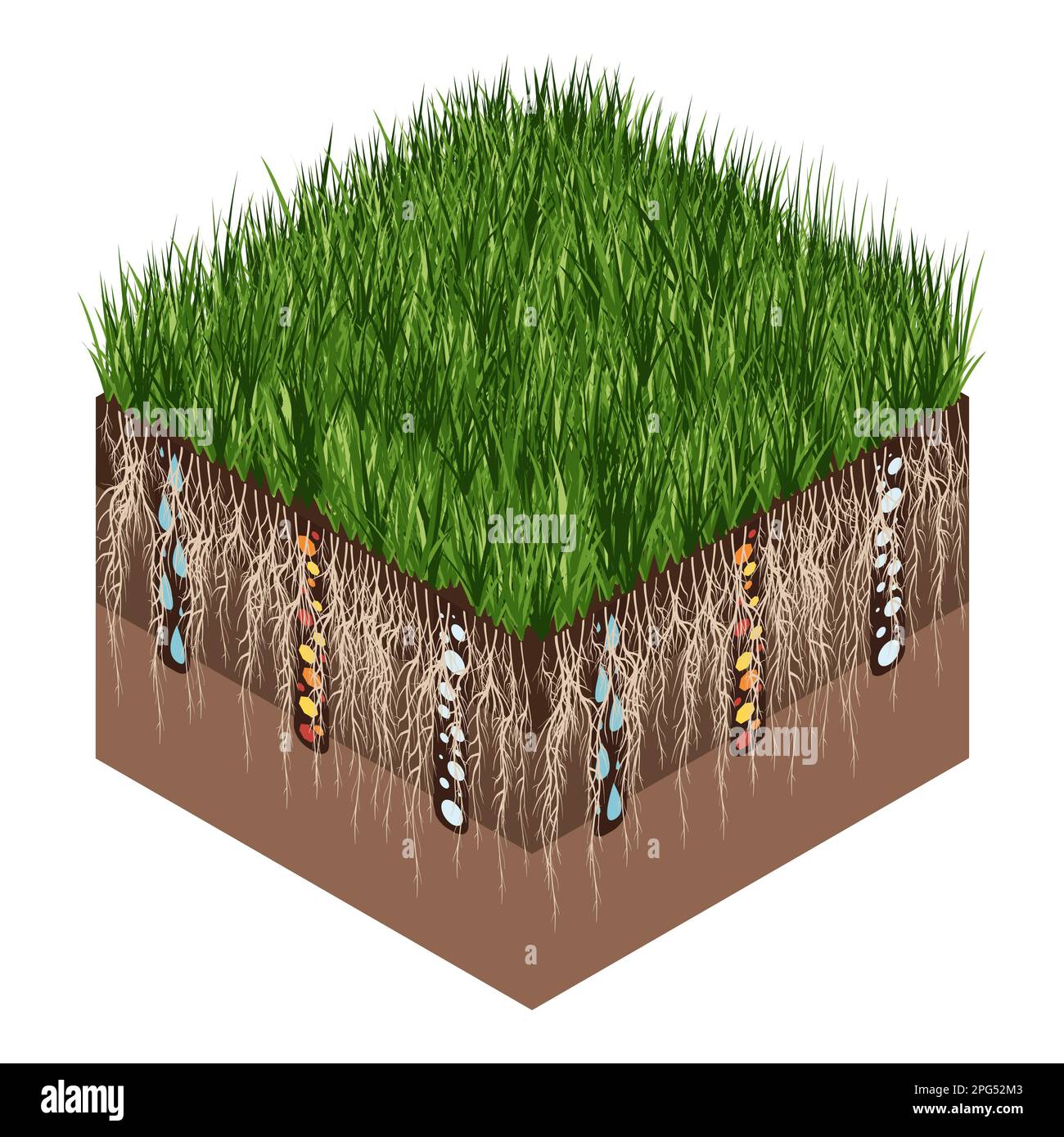 Lawn care - aeration and scarification. Labels by stage- after. Intake ...