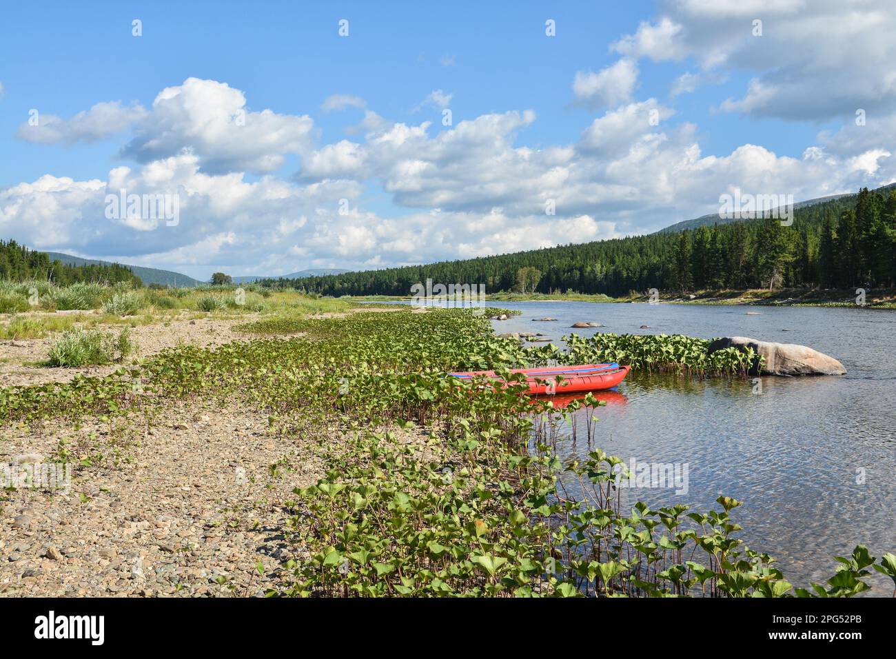 Yugyd-va National Park, UNESCO site "Virgin Forests of Komi". The ...