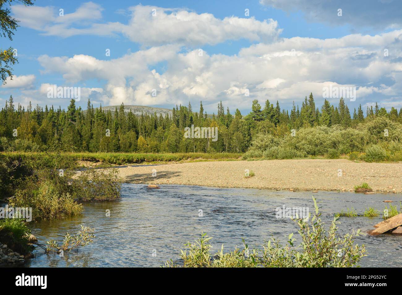 Yugyd-va National Park, UNESCO site "Virgin Forests of Komi". The ...