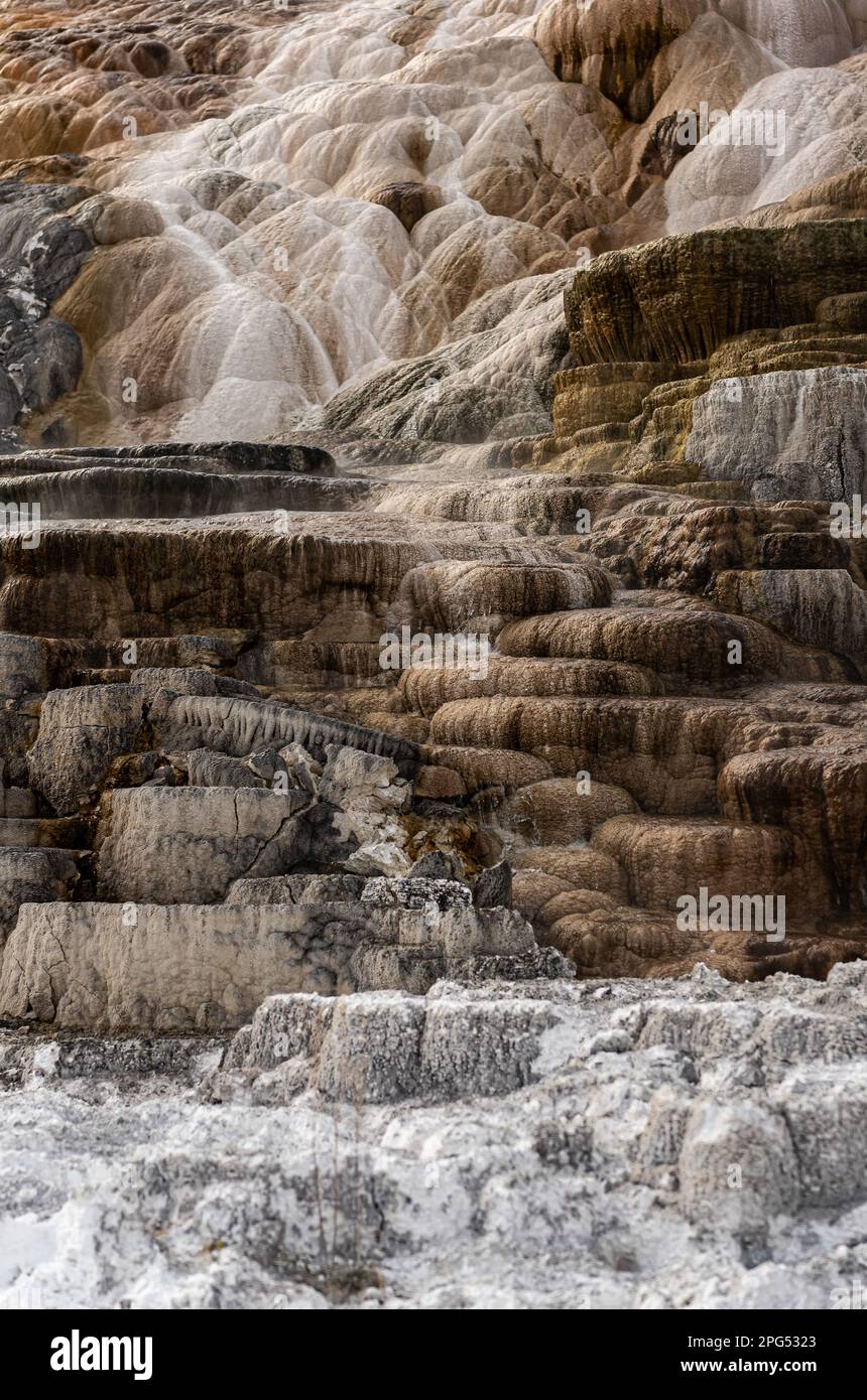 Mammoth hotsprings hi-res stock photography and images - Alamy