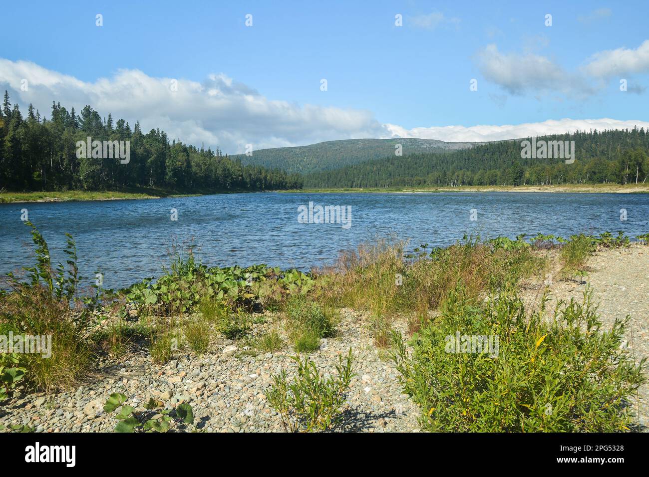 Yugyd-va National Park, UNESCO site "Virgin Forests of Komi". The ...