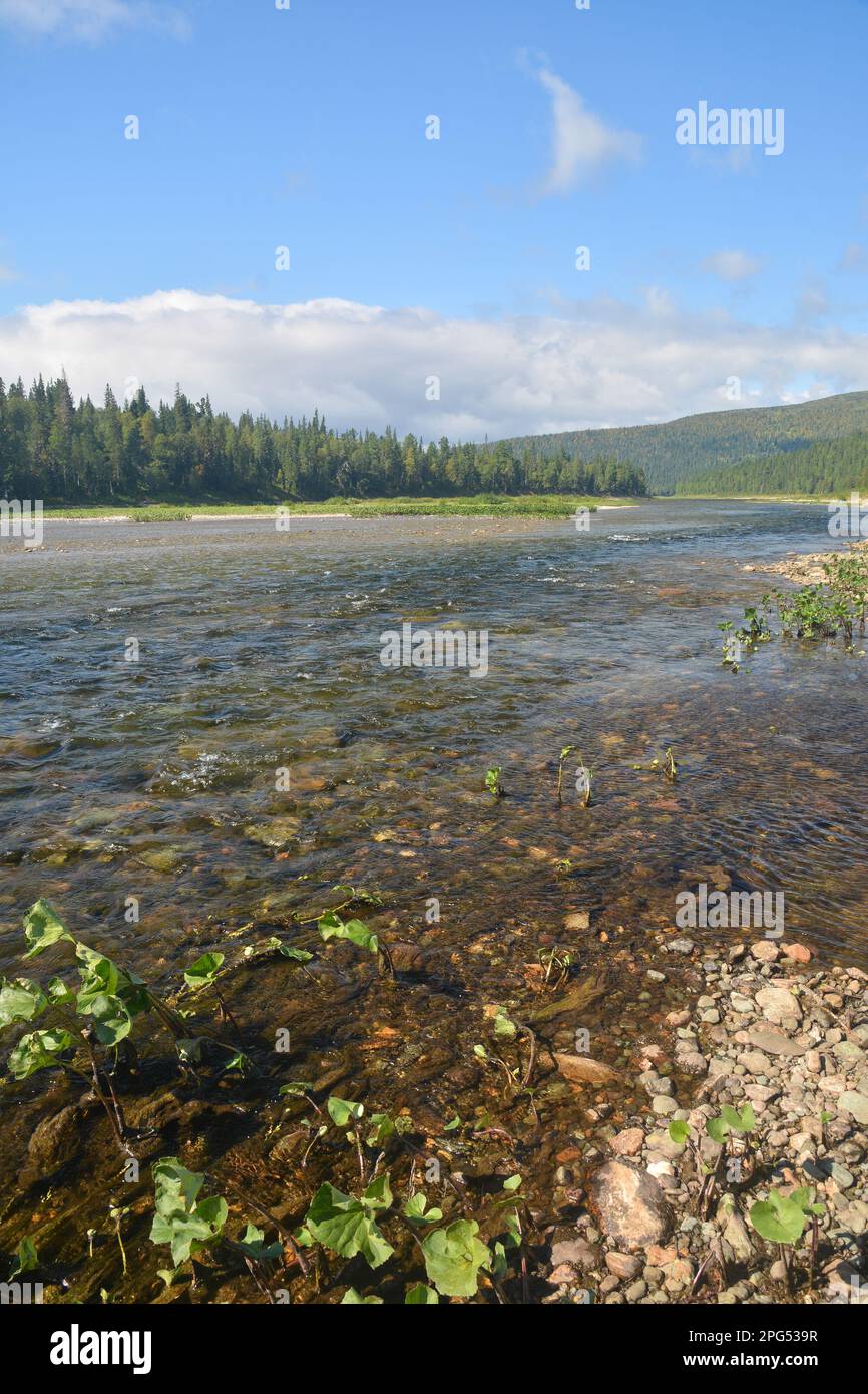 Yugyd-va National Park, UNESCO site "Virgin Forests of Komi". The ...