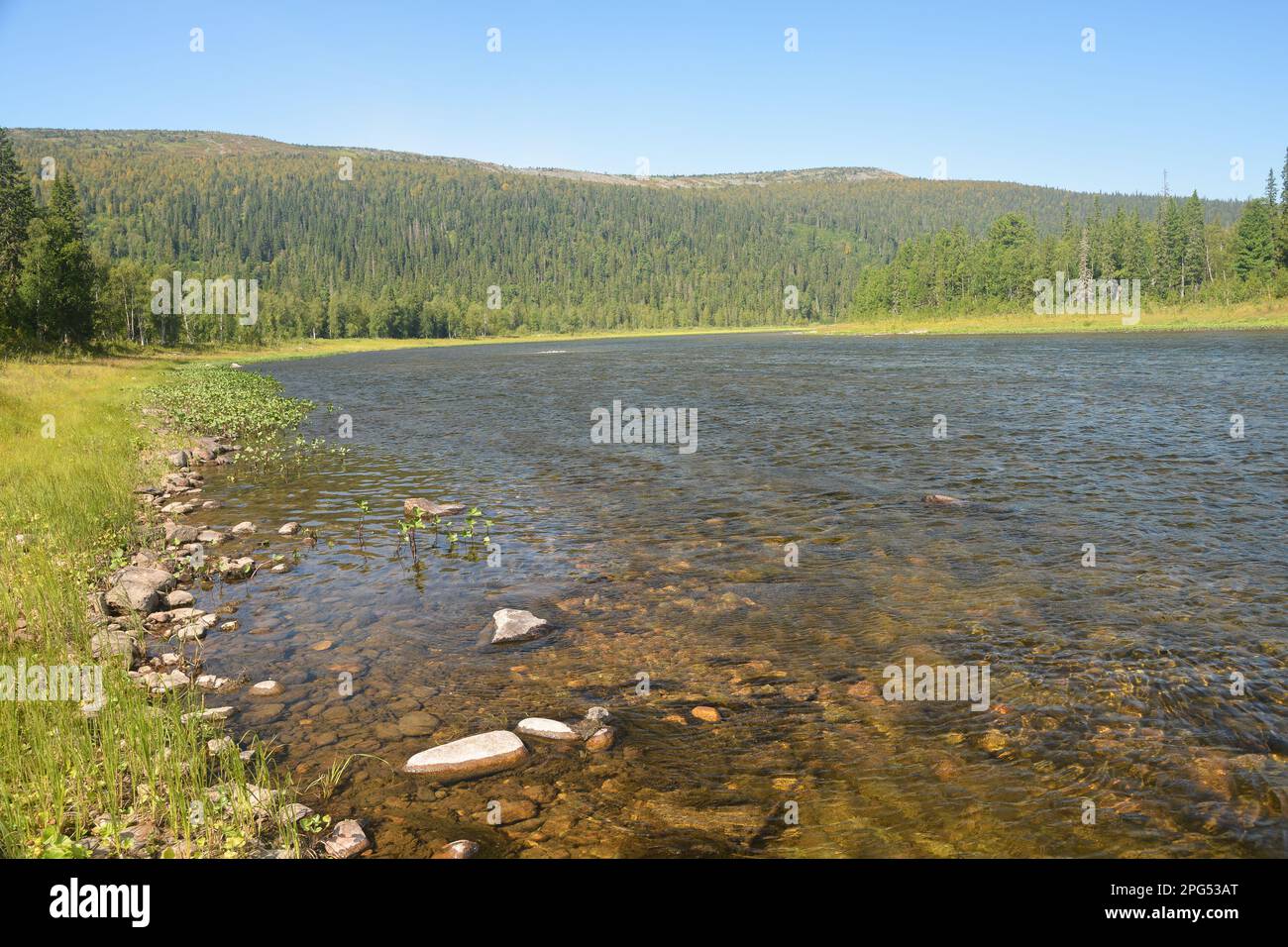 Yugyd-va National Park, UNESCO site "Virgin Forests of Komi". The ...