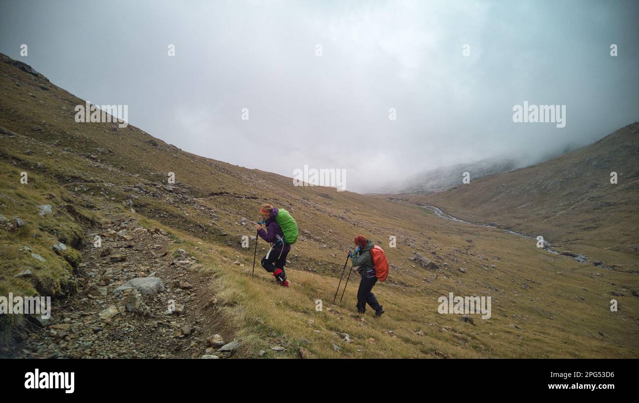 Three people hiking up a scenic mountain trail surrounded by lush green ...