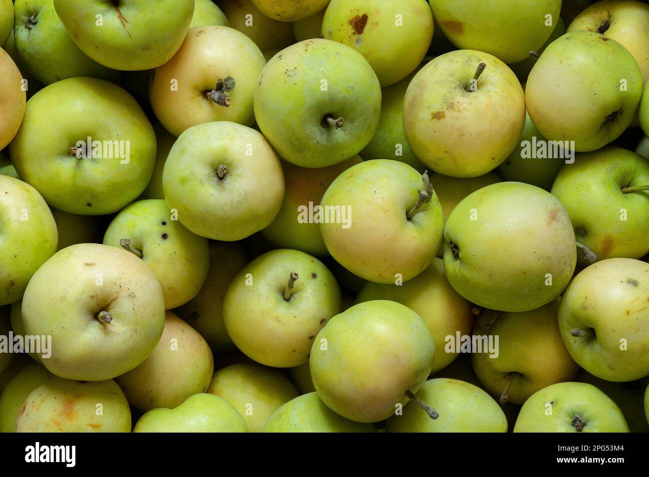 homemade apples as background green close up Stock Photo - Alamy