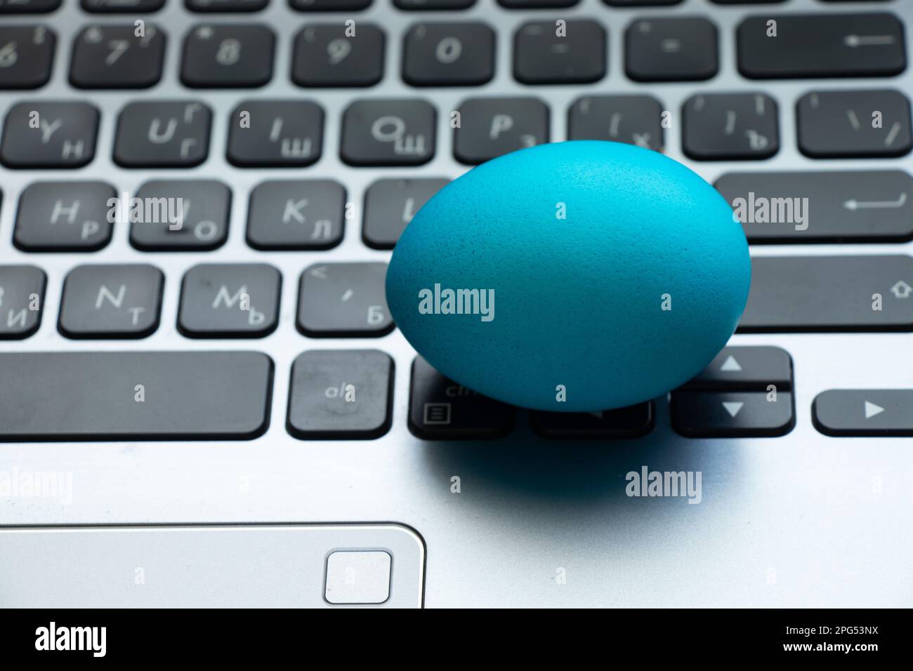 beautiful blue egg lies on a laptop keyboard Stock Photo - Alamy