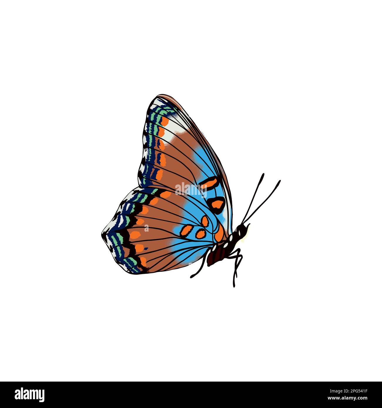 Blue butterfly with bright wings and antennae Stock Vector Image & Art ...