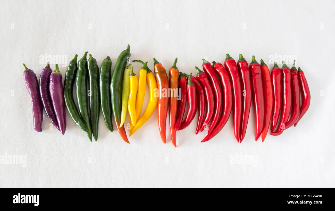 Close-up of different coloured chillies Stock Photo - Alamy