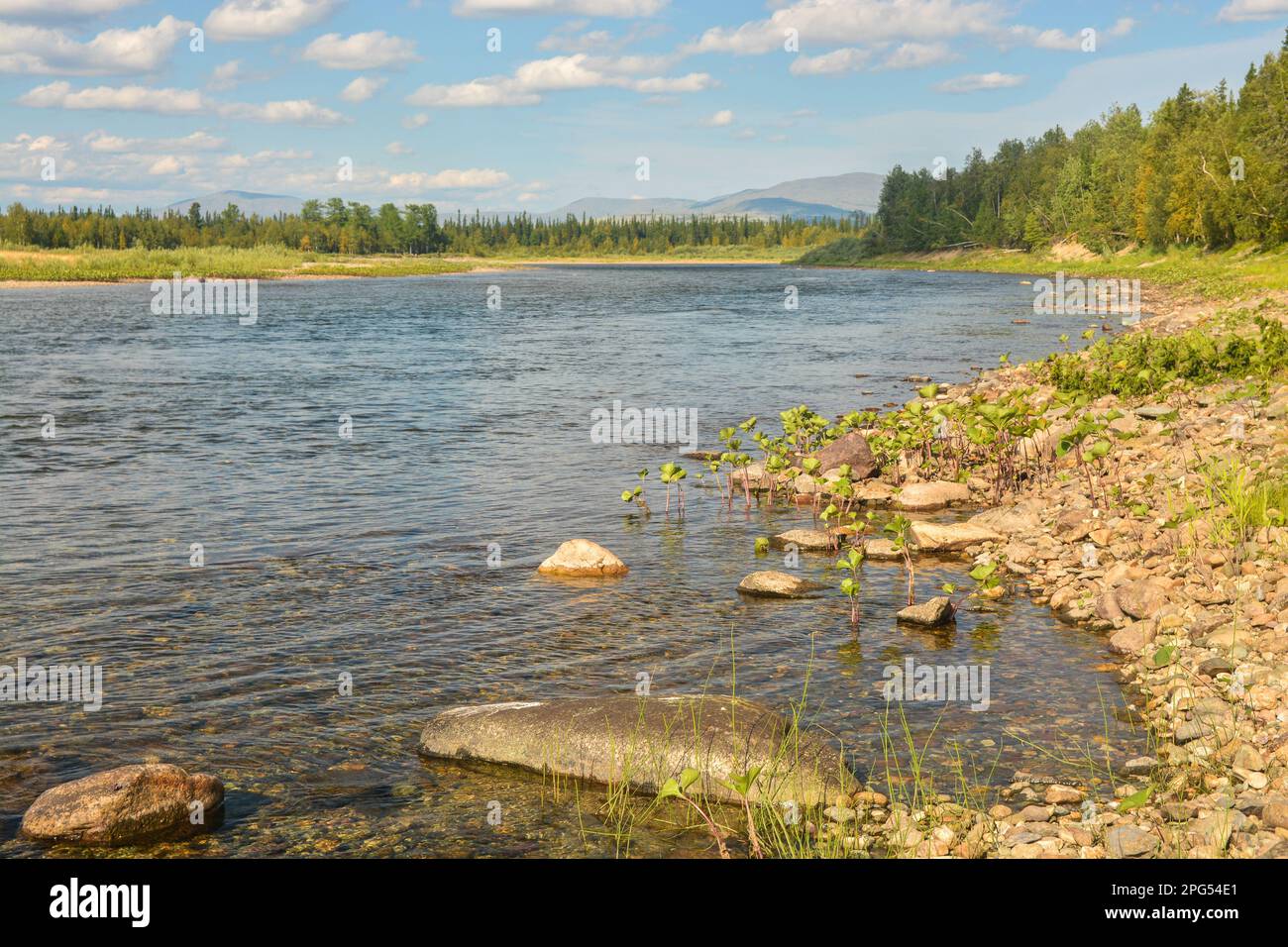 Yugyd-va National Park, UNESCO site "Virgin Forests of Komi". The ...