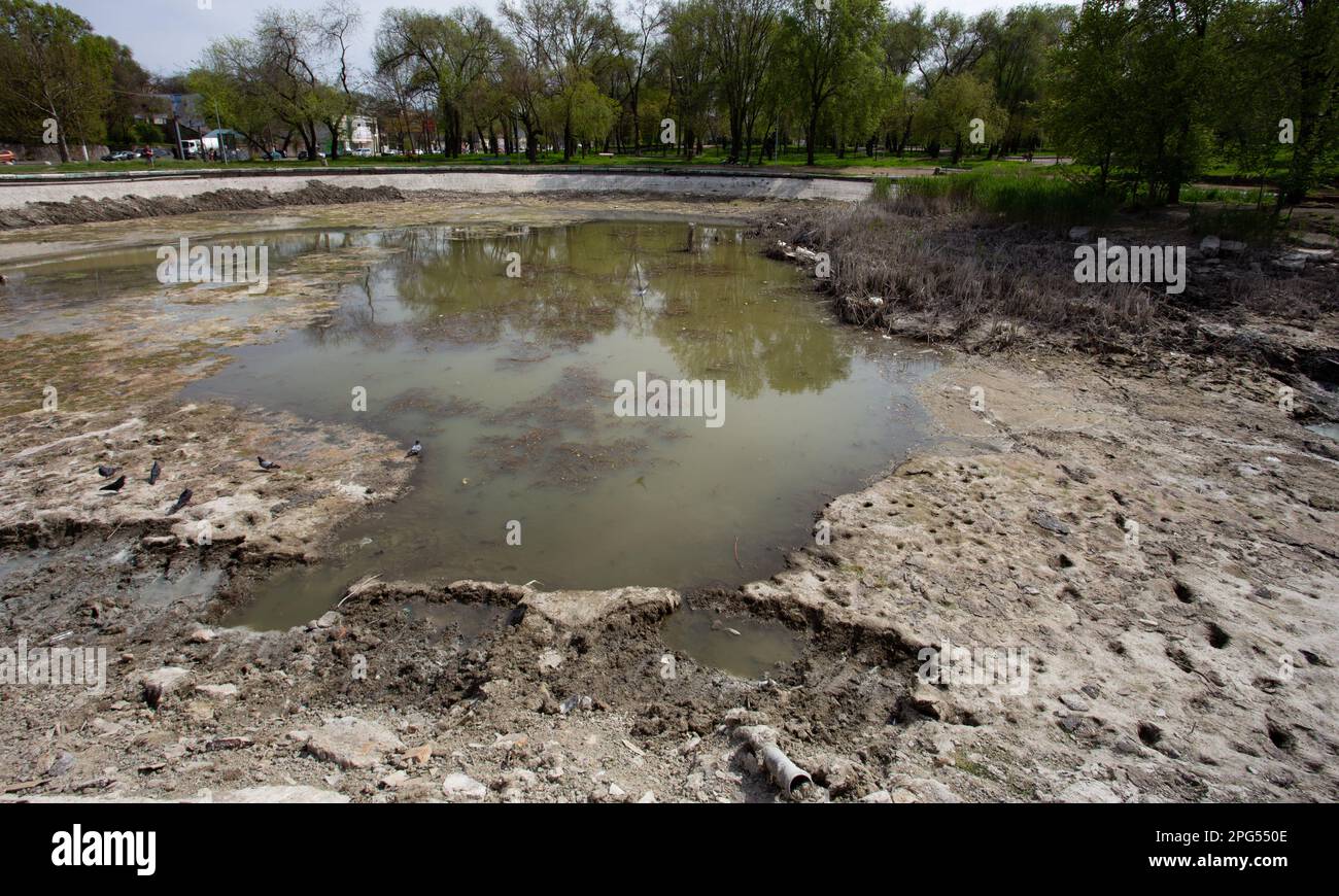 Ecological catastrophy. Drying lake in city park. Dry swamp lake ...