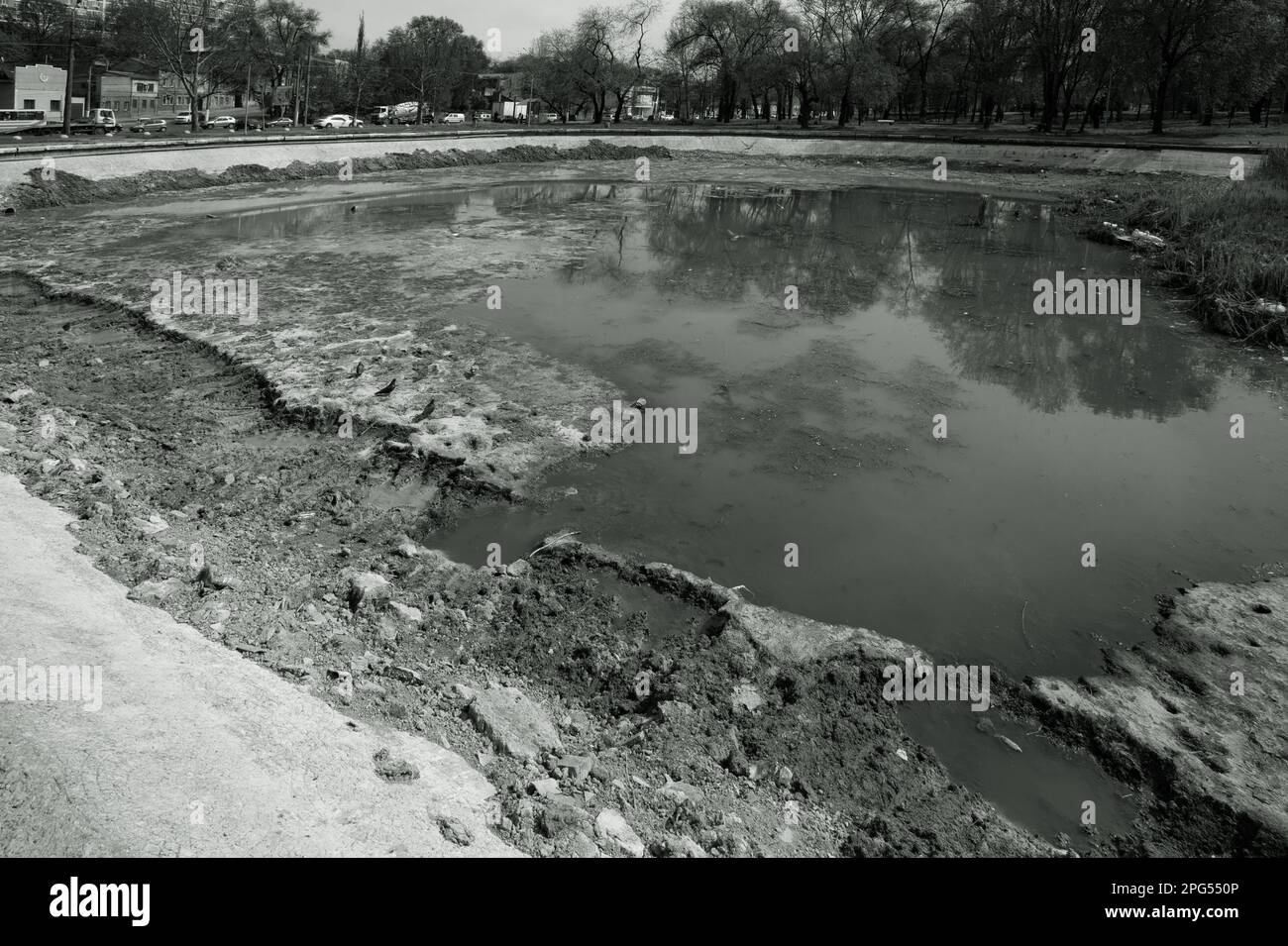 Ecological catastrophy. Drying lake in city park. Dry swamp lake ...