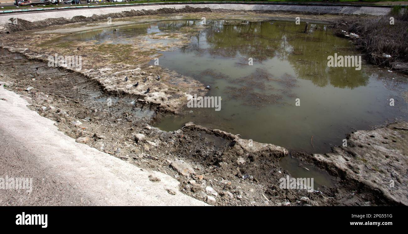 Ecological catastrophy. Drying lake in city park. Dry swamp lake ...
