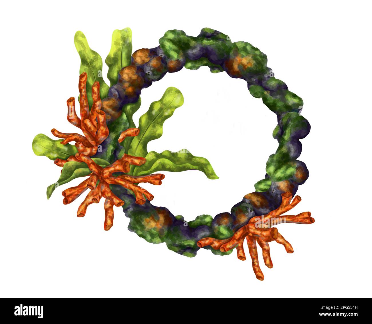 Round frame composition with the underwater world. Red coral, seaweed ...