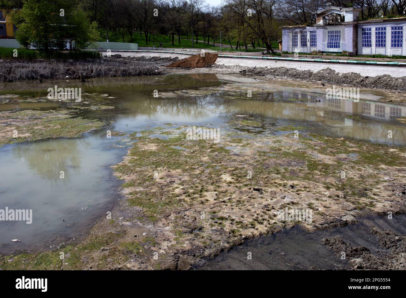 Ecological catastrophy. Drying lake in city park. Dry swamp lake ...