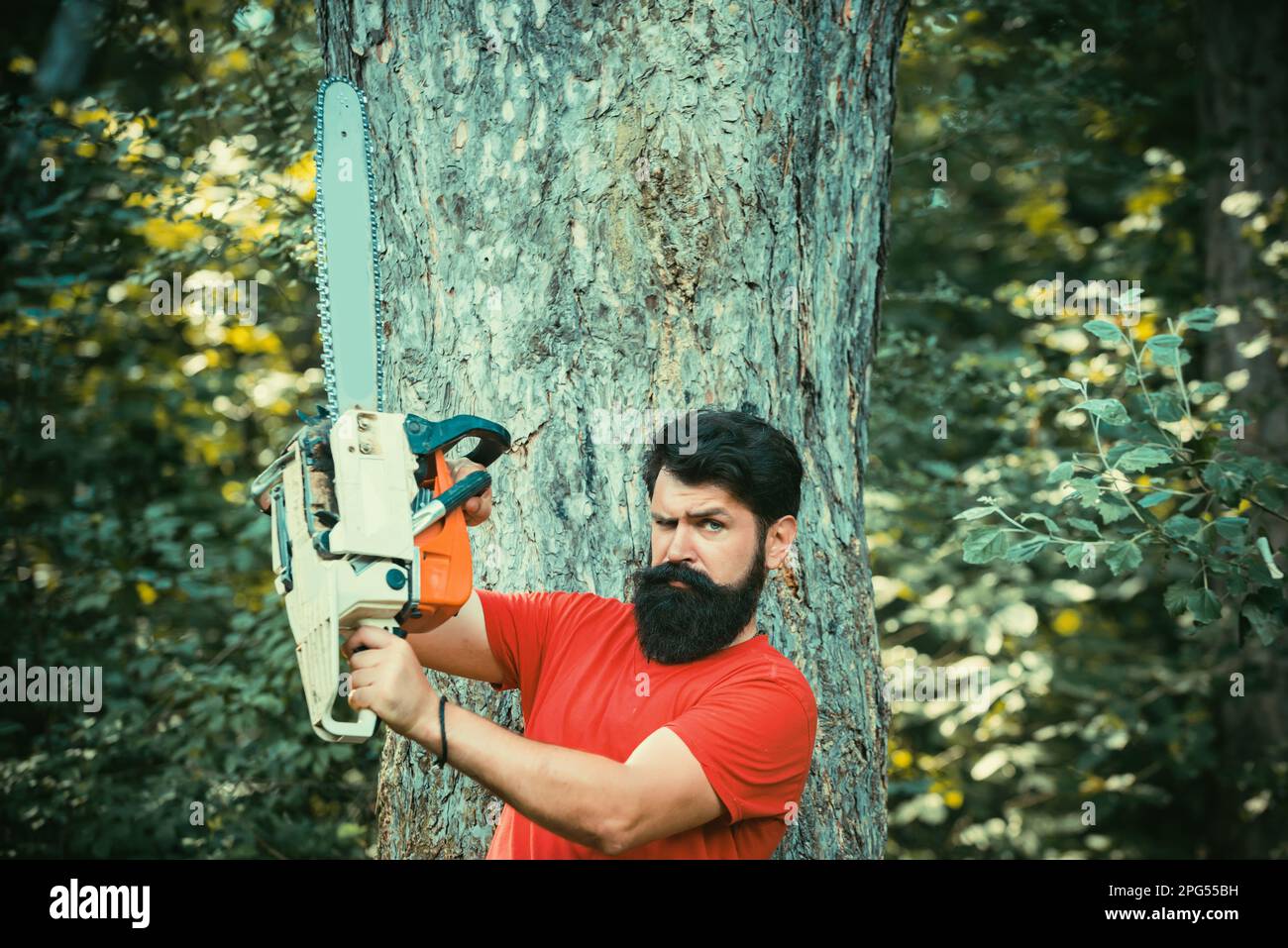 A handsome young man with a beard carries a tree. Deforestation is a ...