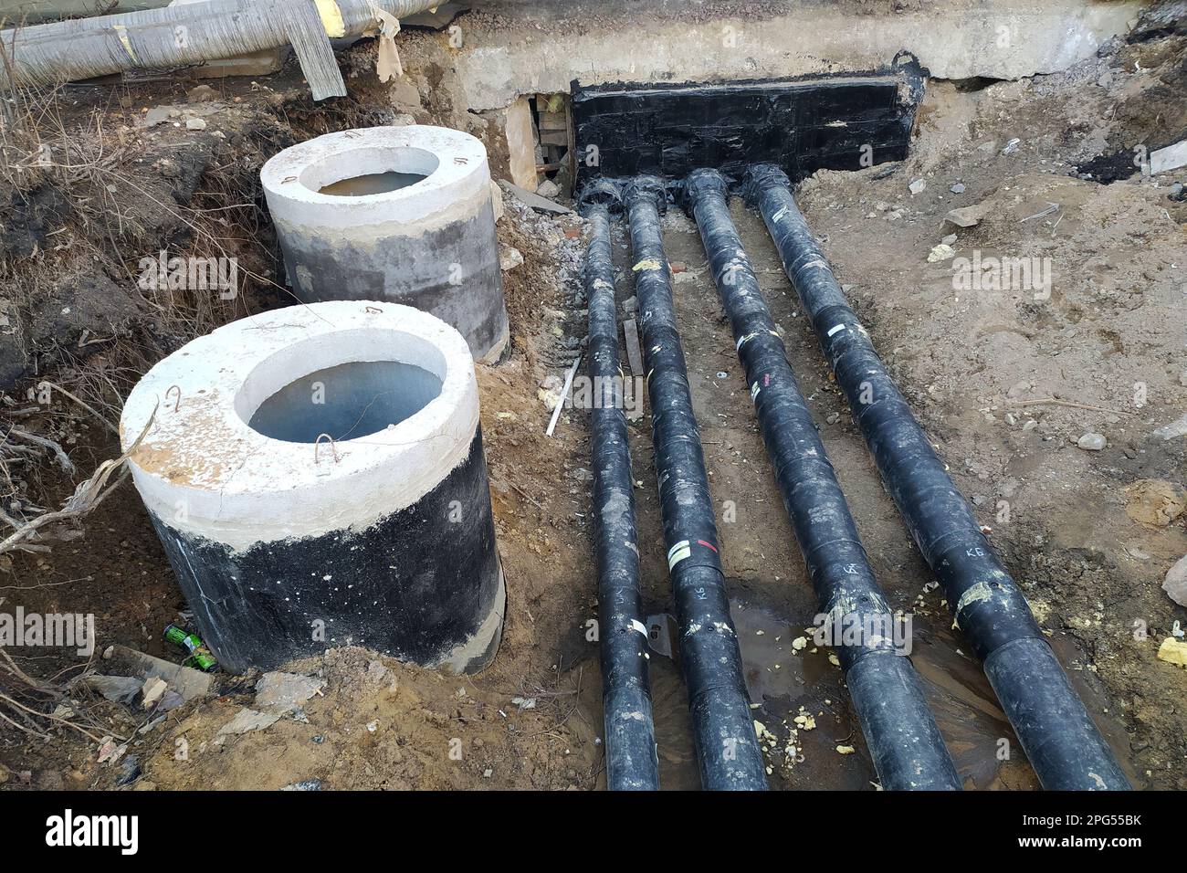 Russian Federation. Saint Petersburg. March. Replacement of ...