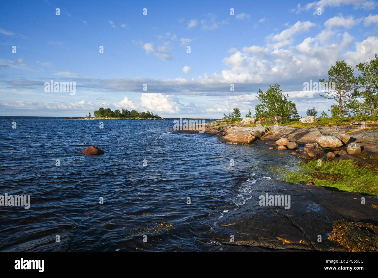 The White Sea. Summer seascape in East Karelia, Russia Stock Photo - Alamy