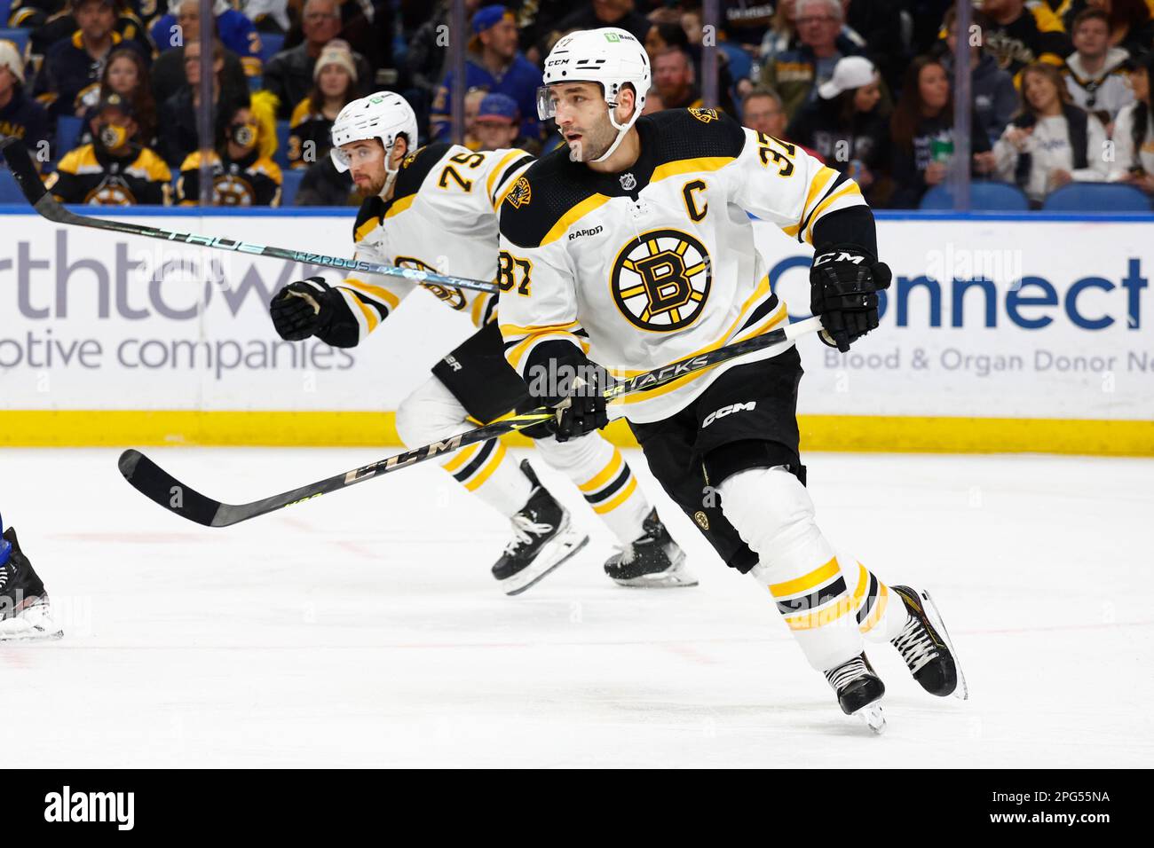 Boston Bruins center Patrice Bergeron (37) skates during the first ...