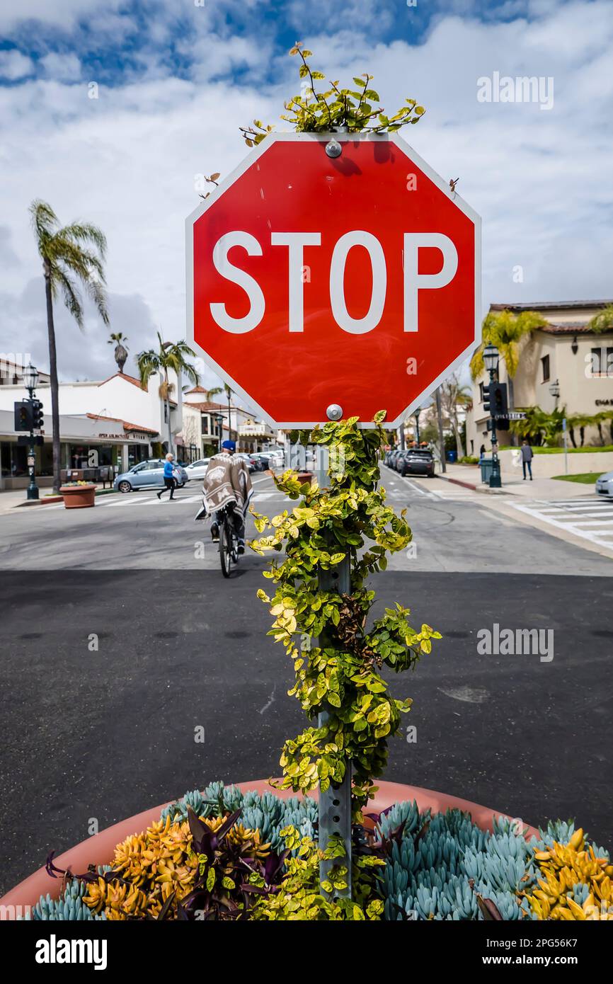 Plants growing over a road sign hi-res stock photography and images - Alamy