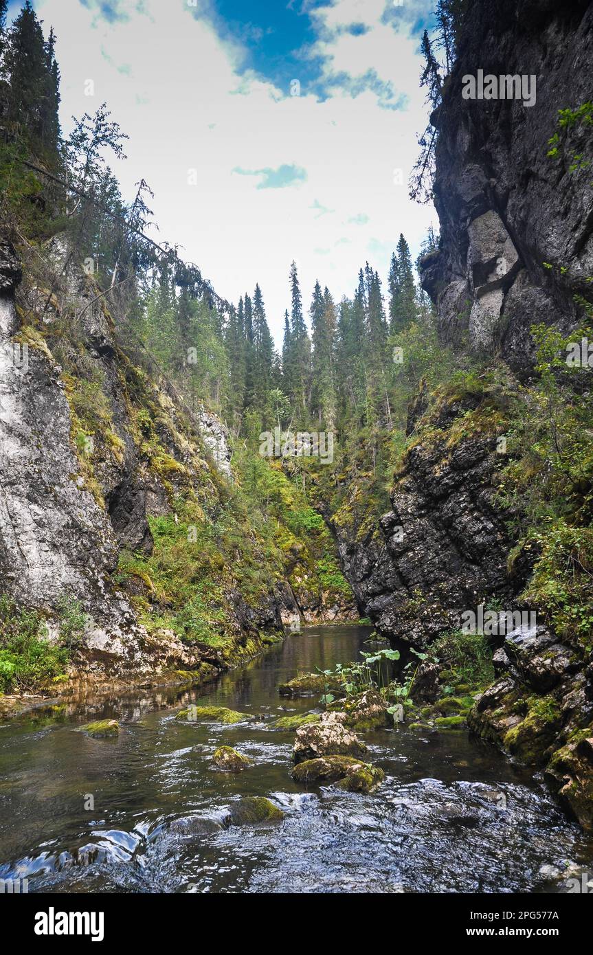 Yugyd-va National Park, UNESCO site "Virgin Forests of Komi". The ...