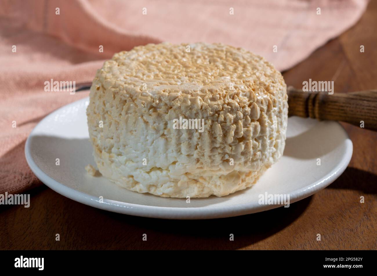 Polish white skimmed fresh smoked milk twarog cheese, white cow cheese ...